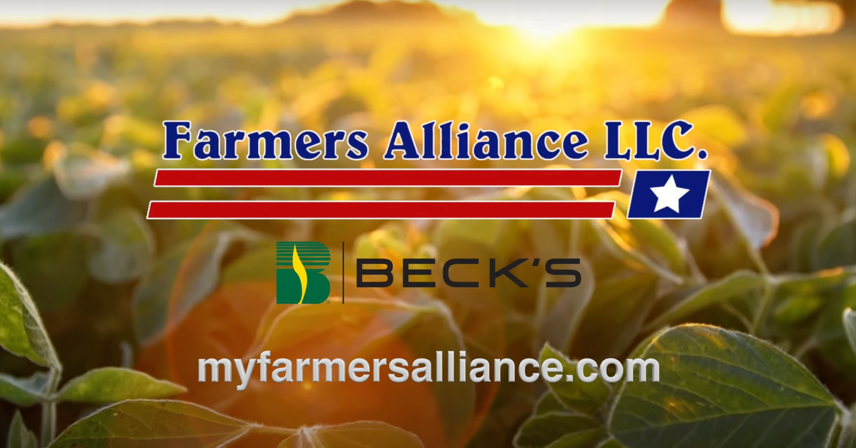 Beck's – My Farmers Alliance